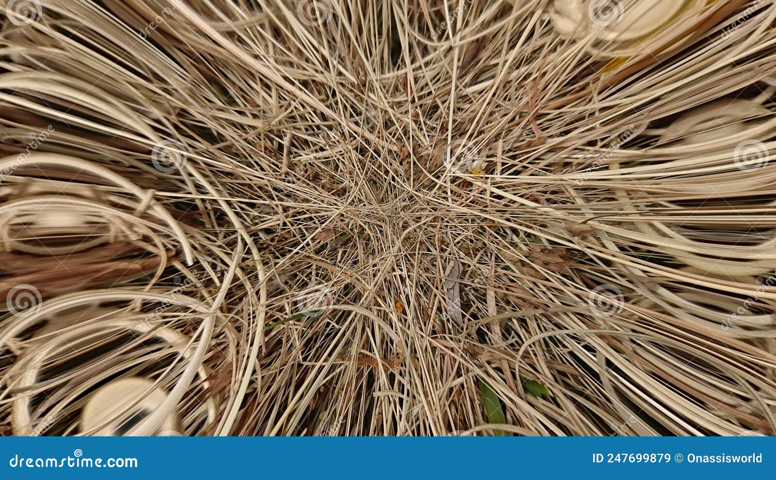 Dry Hey Abstract Background Shapes Textured Blurred Stock Image - Image ...