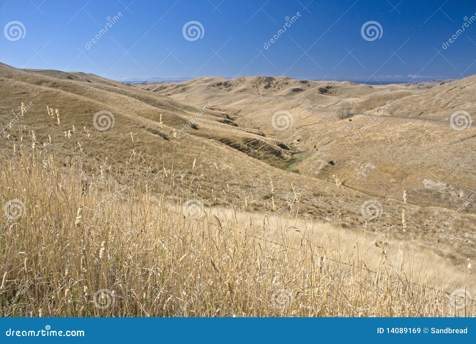 Dry hills stock image. Image of grass, golden, hills - 14089169