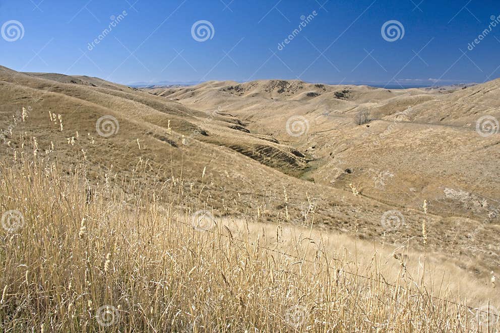 Dry hills stock image. Image of grass, golden, hills - 14089169