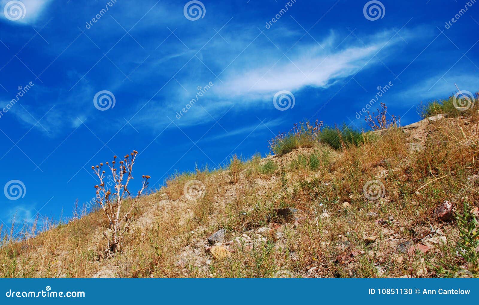 Dry Hillside and Interesting Sky Stock Photo - Image of wild, sunlight ...