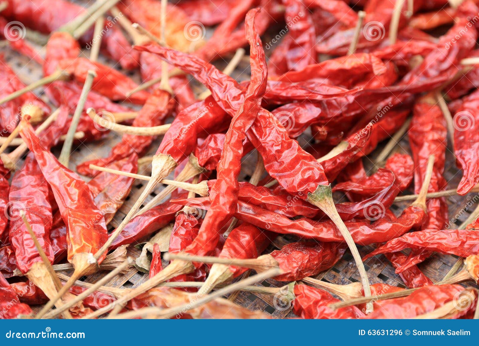 Dry hot chilli stock photo. Image of popularity, cooking - 63631296