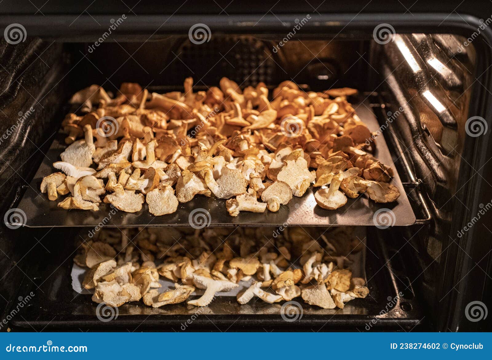 Mushroom Drying Machine Stock Photo | CartoonDealer.com #43876800