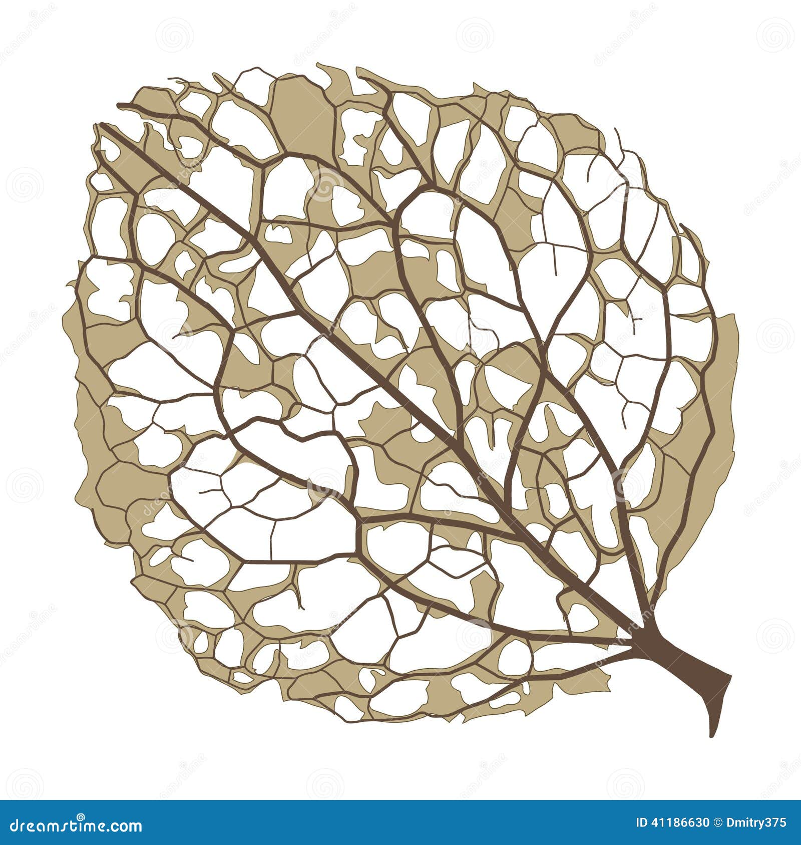 Hydrangea Leaf, Plant - Vector Linear Picture For Coloring. Outline ...