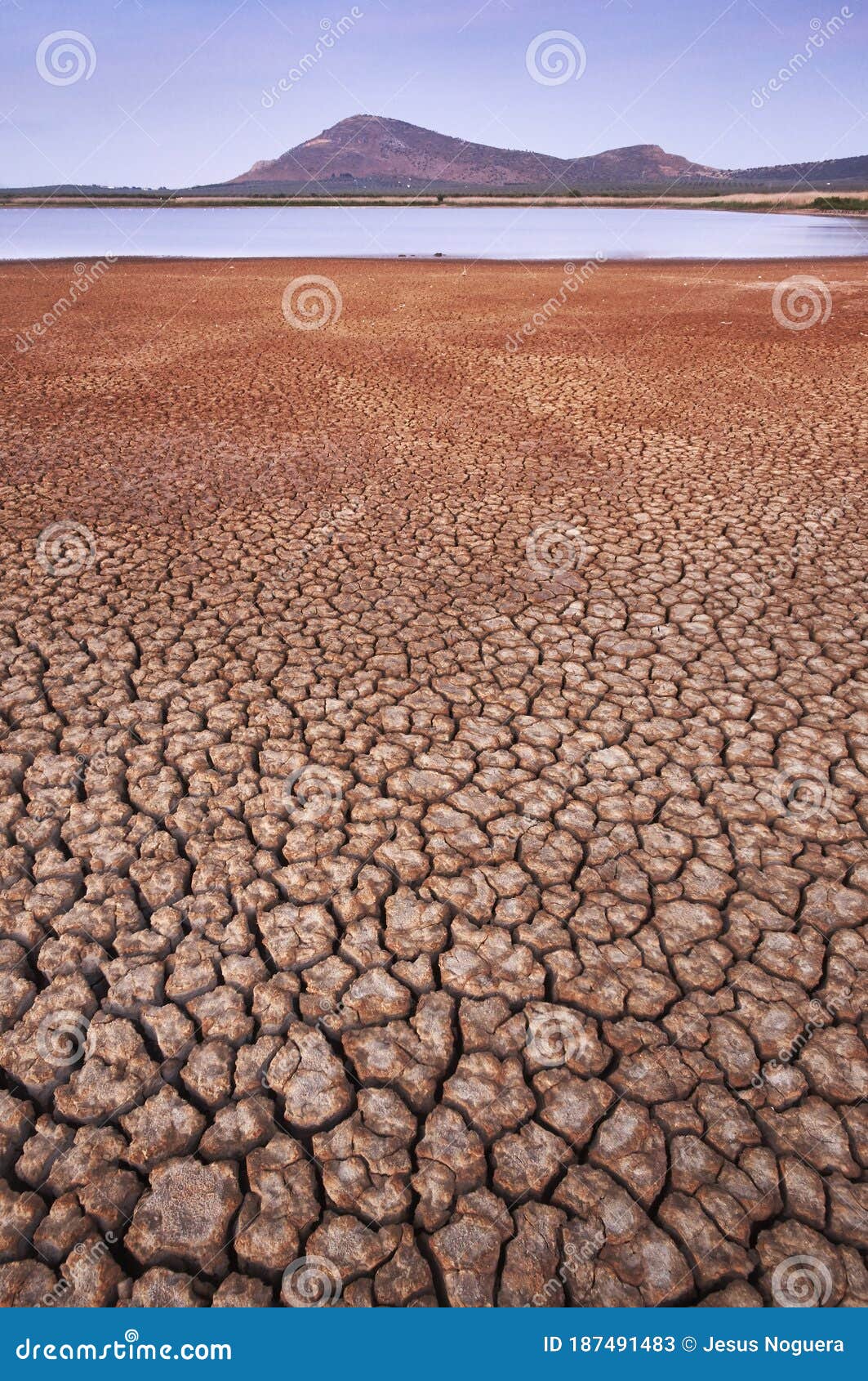 Dry Lagoon of the Ratosa in the North of Malaga. Climate Change Stock ...
