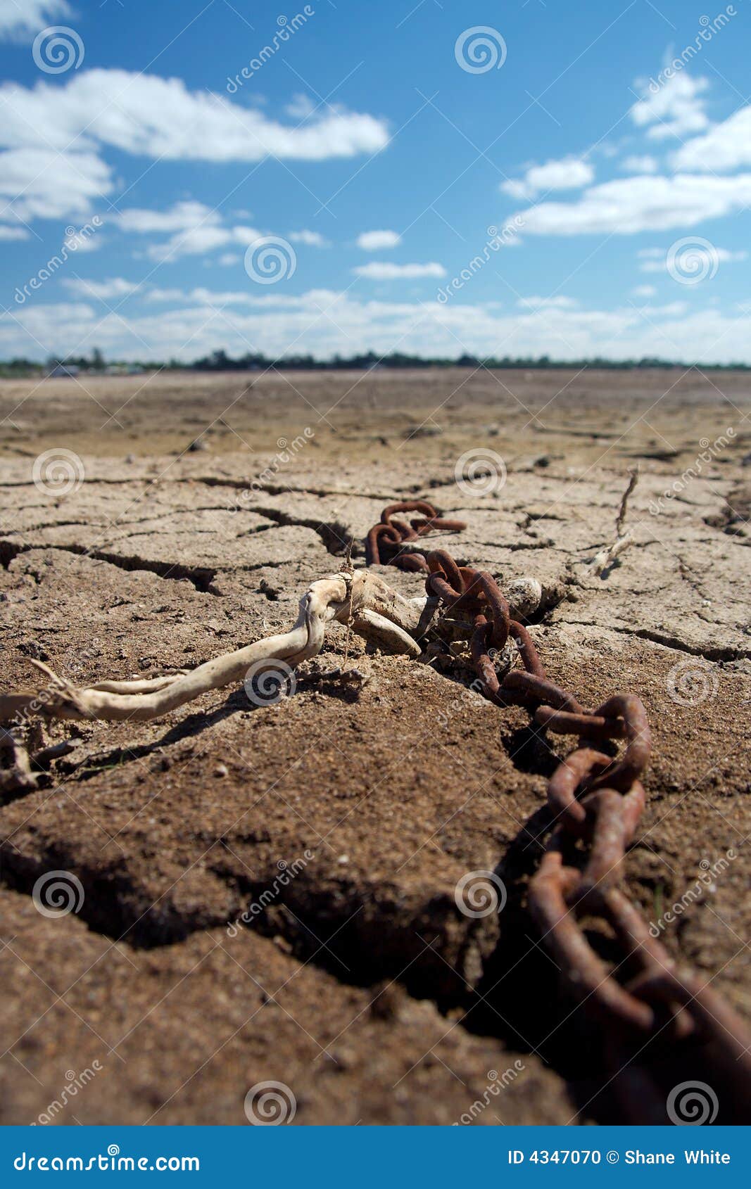 Dry lake. stock photo. Image of drought, water, chain - 4347070