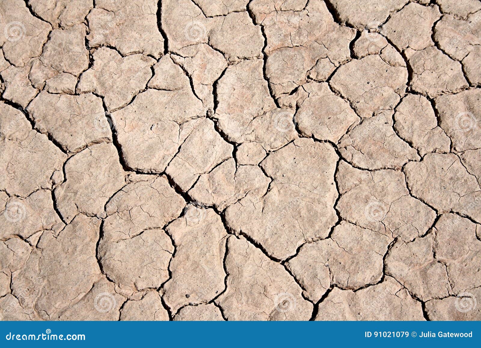 Dry Lake Bed stock image. Image of nevada, desert, temperature - 91021079