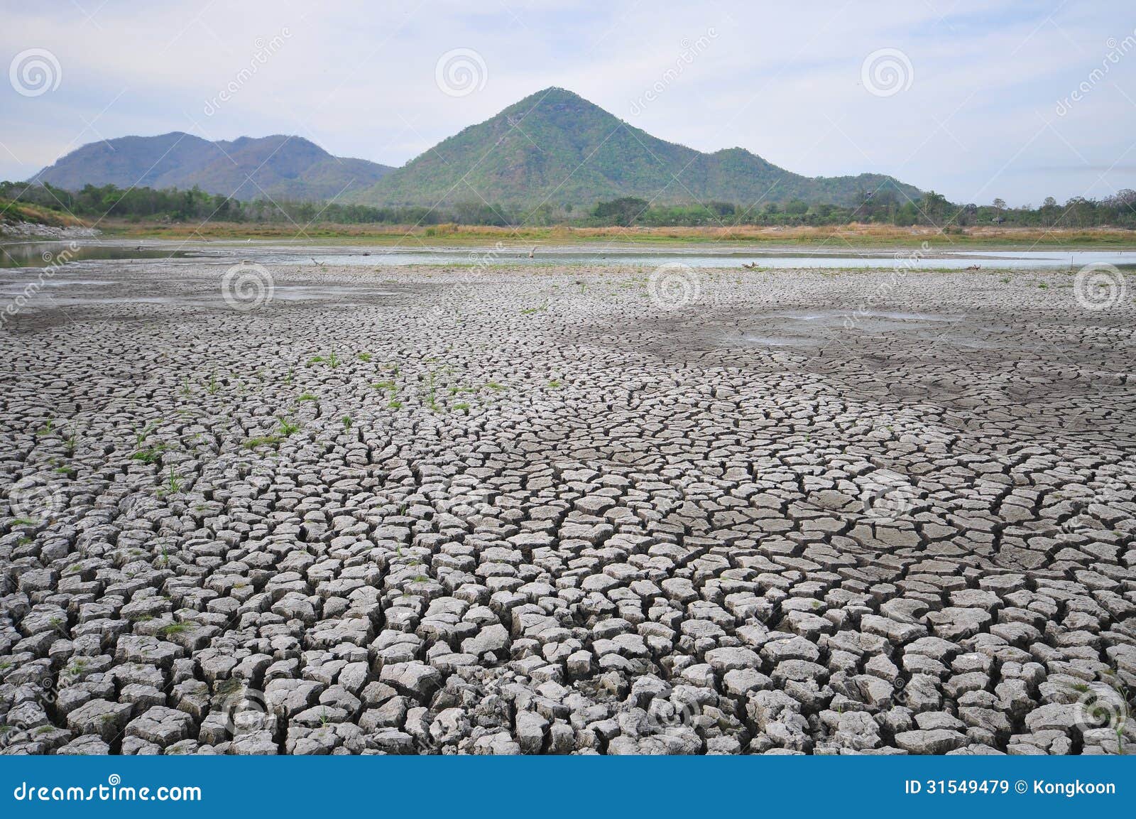 Dry lake stock image. Image of green, environment, beautiful - 31549479