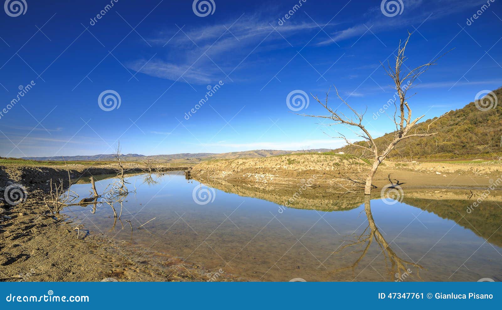Dry stock image. Image of life, arid, drought, pollution - 47347761