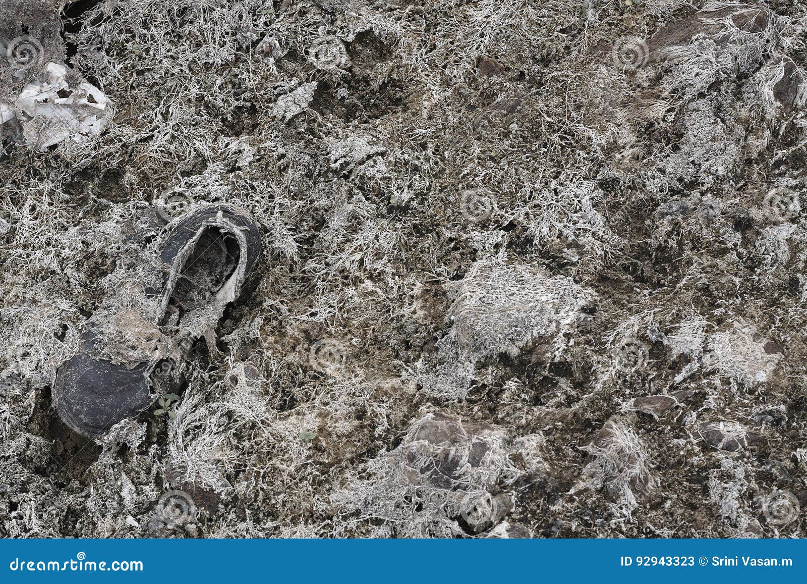 Dry stock image. Image of shape, smoke, leaf, dryness - 92943323