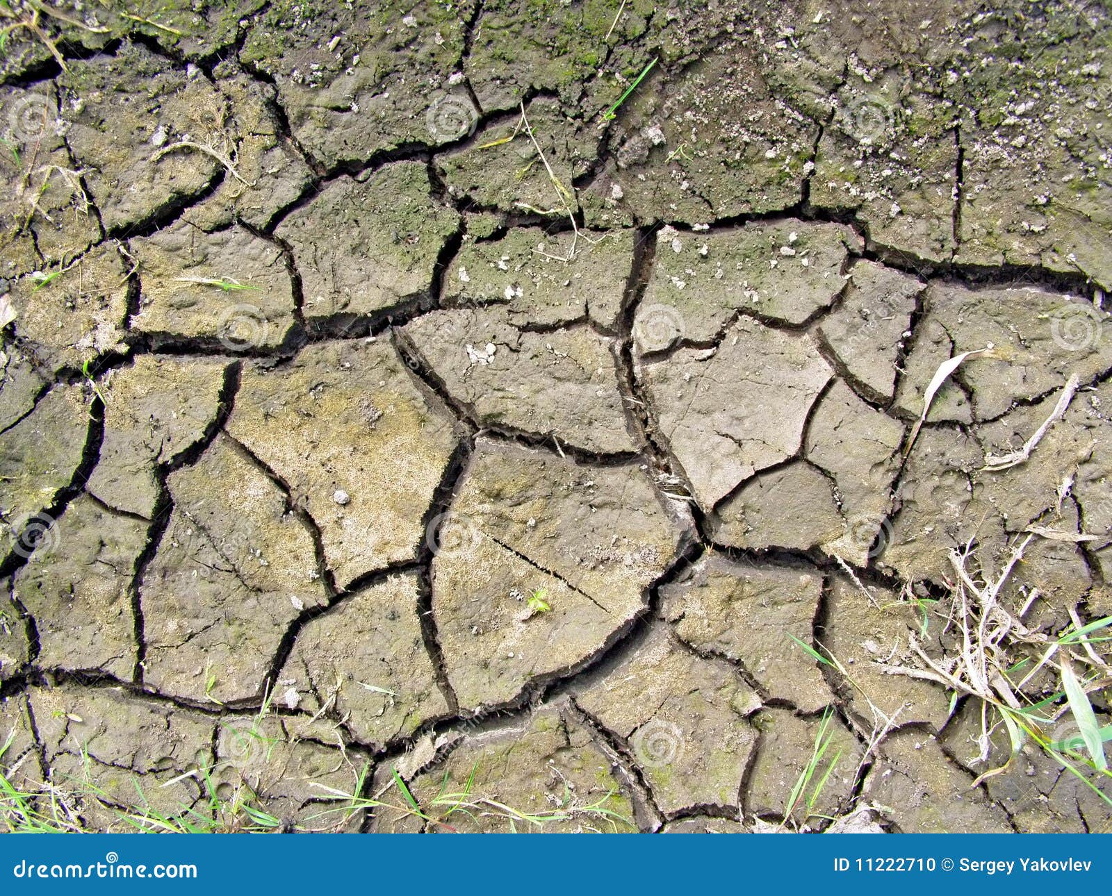 Dry land stock photo. Image of nature, drought, spaces - 11222710