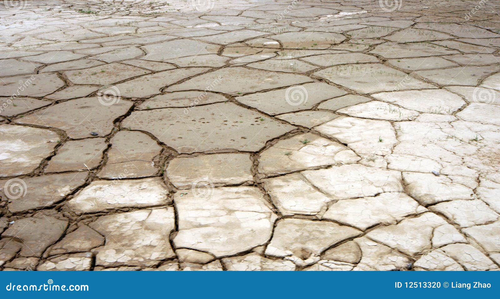 Dry land stock photo. Image of background, cracked, land - 12513320