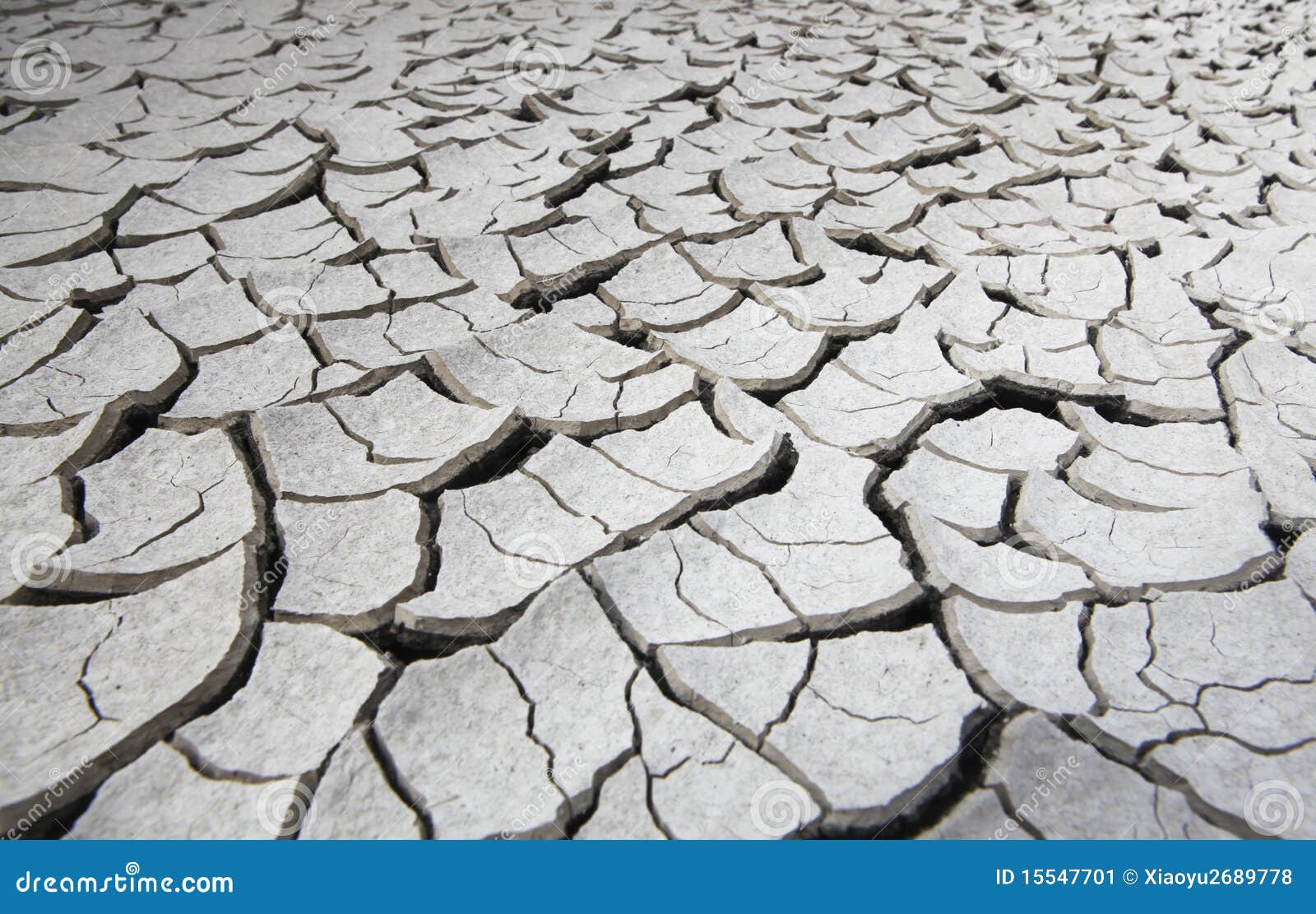Dry land stock image. Image of land, fragile, grain, life - 15547701