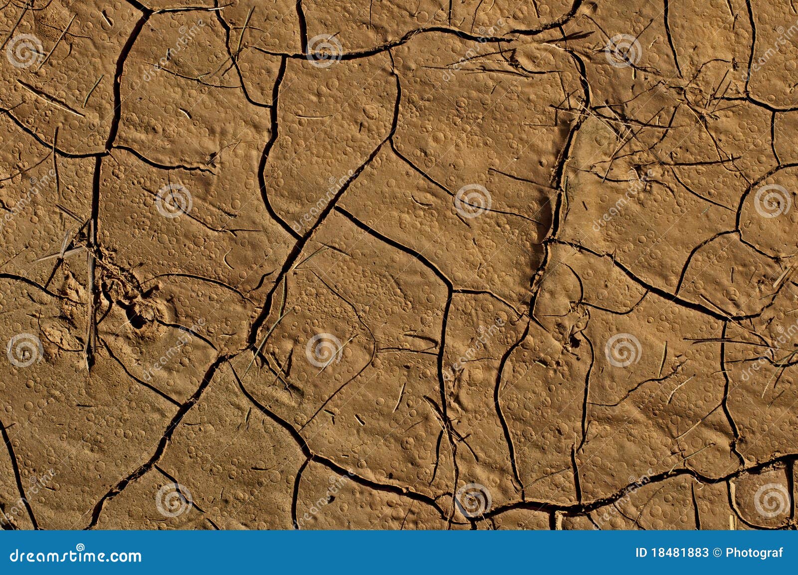 Dry land stock image. Image of cracked, arid, dead, macro - 18481883
