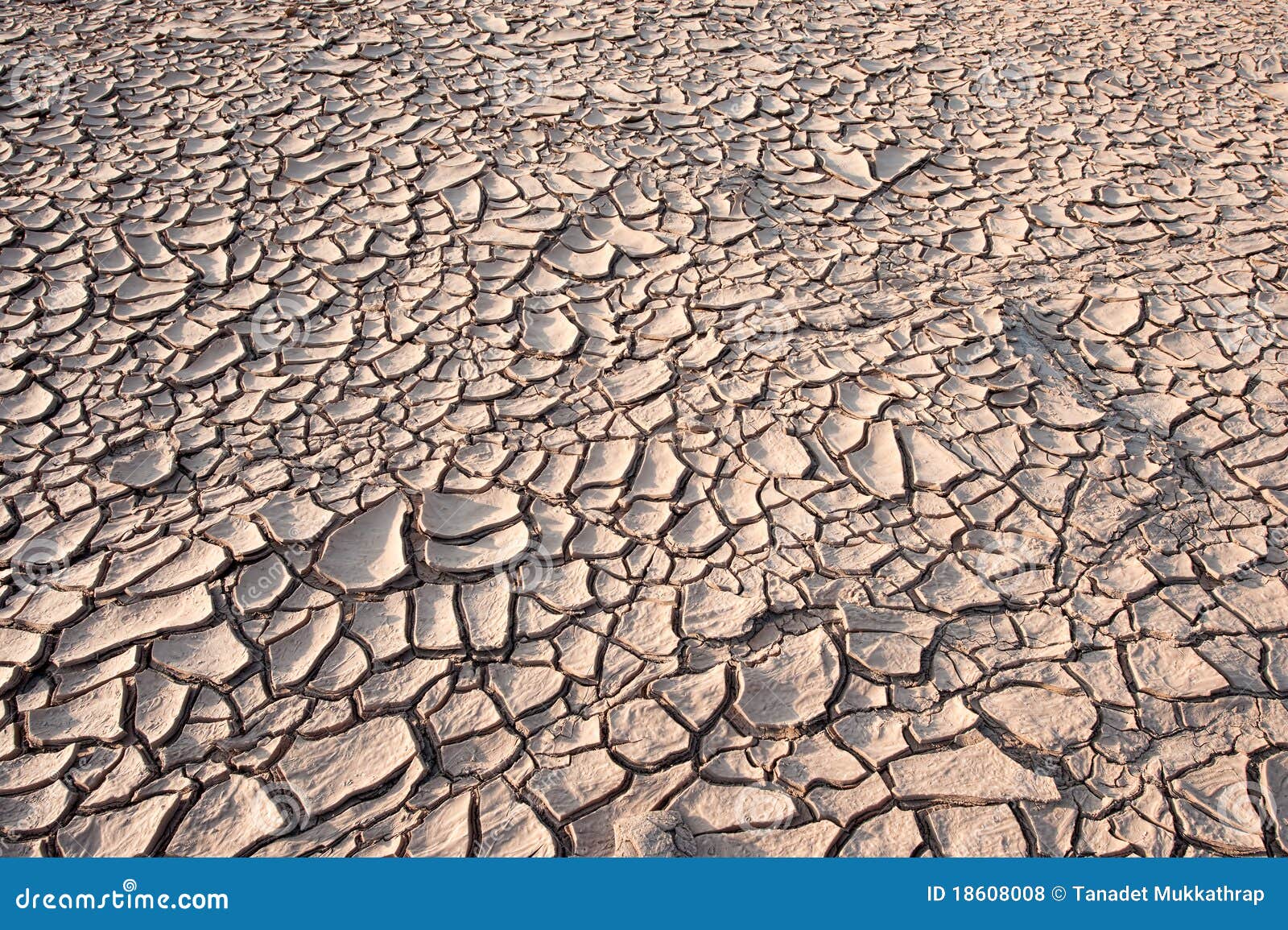 Dry land stock photo. Image of concept, drought, natural - 18608008