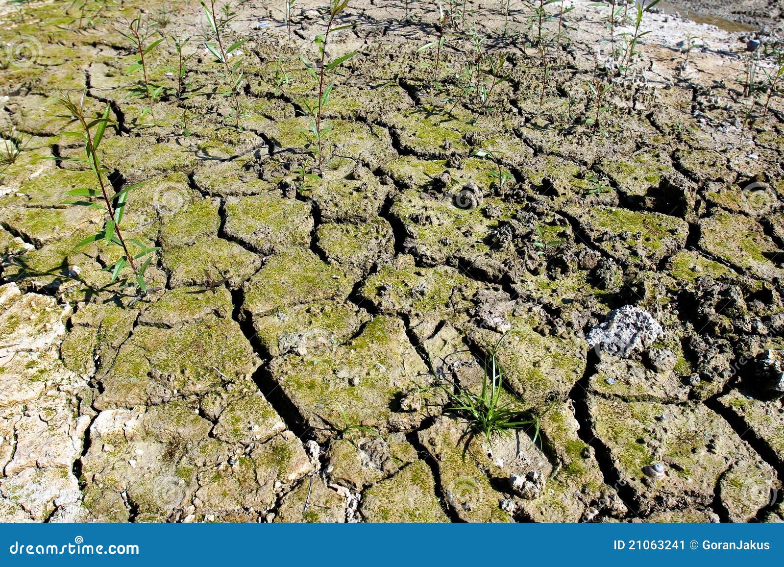Dry land stock image. Image of life, deep, land, arid - 21063241