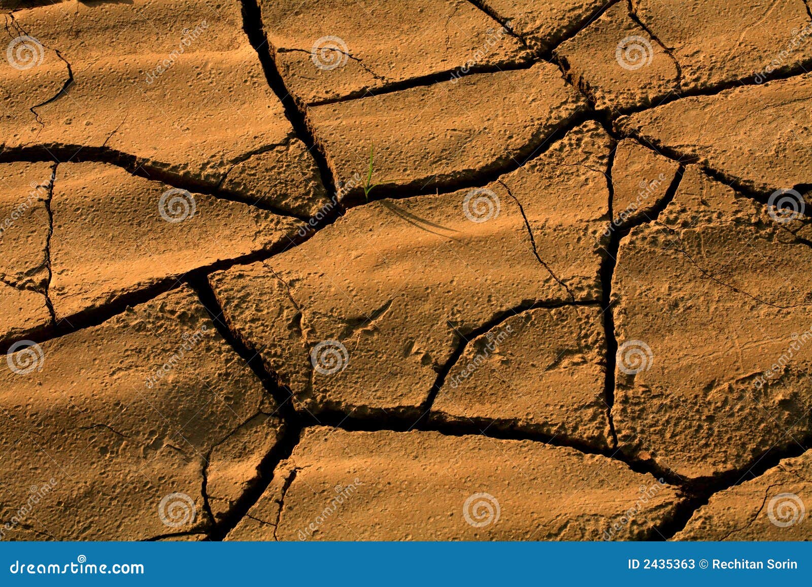 Dry land stock image. Image of dryness, cracks, thirst - 2435363