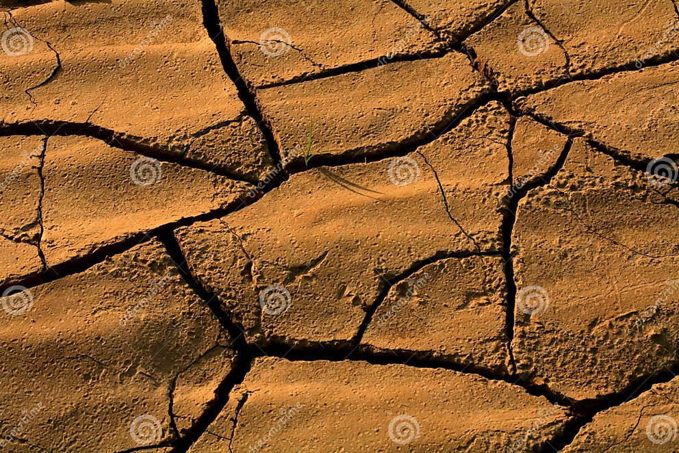 Dry land stock image. Image of dryness, cracks, thirst - 2435363