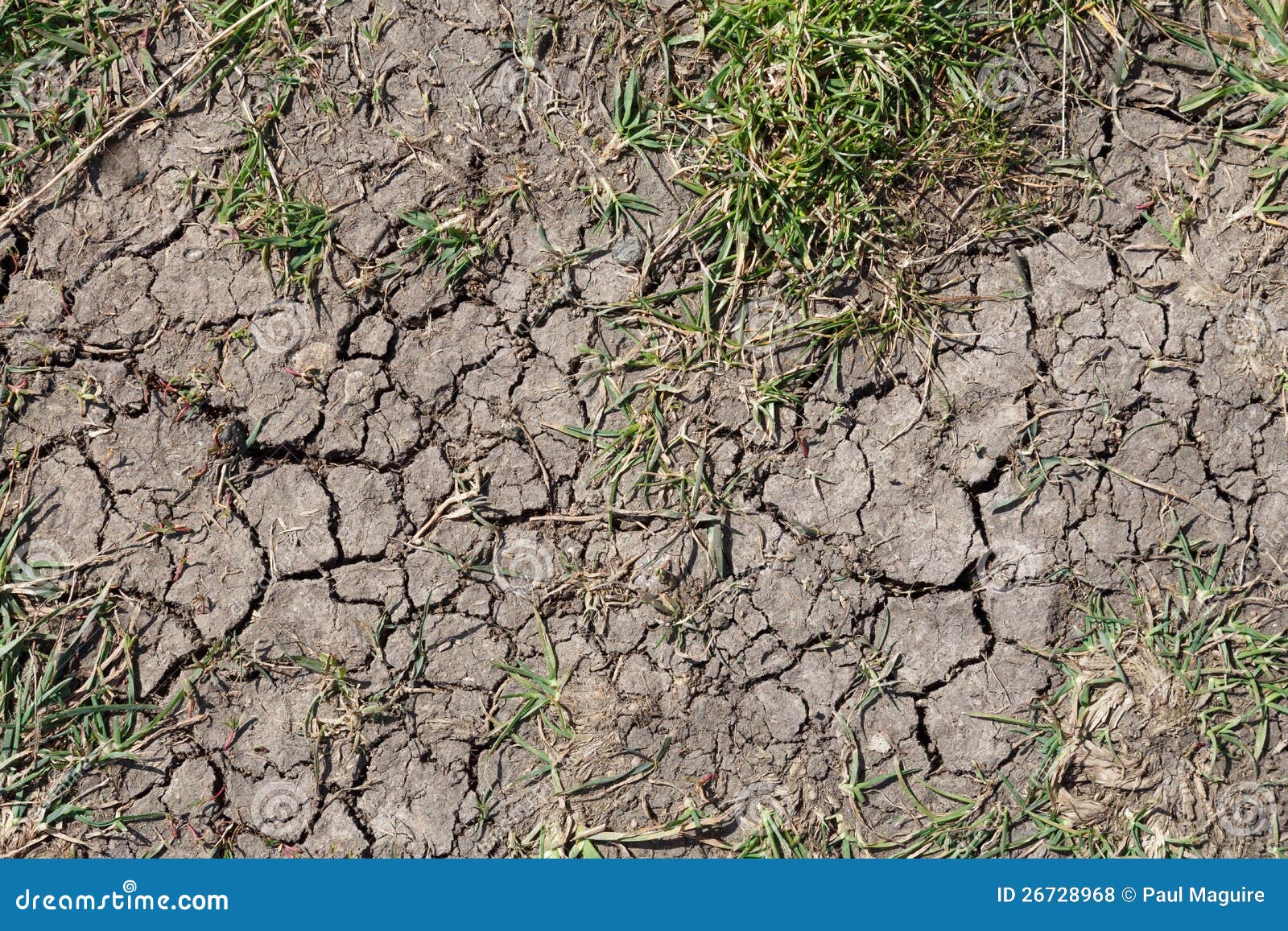 Dry land stock photo. Image of brown, cracks, earth, closeup - 26728968
