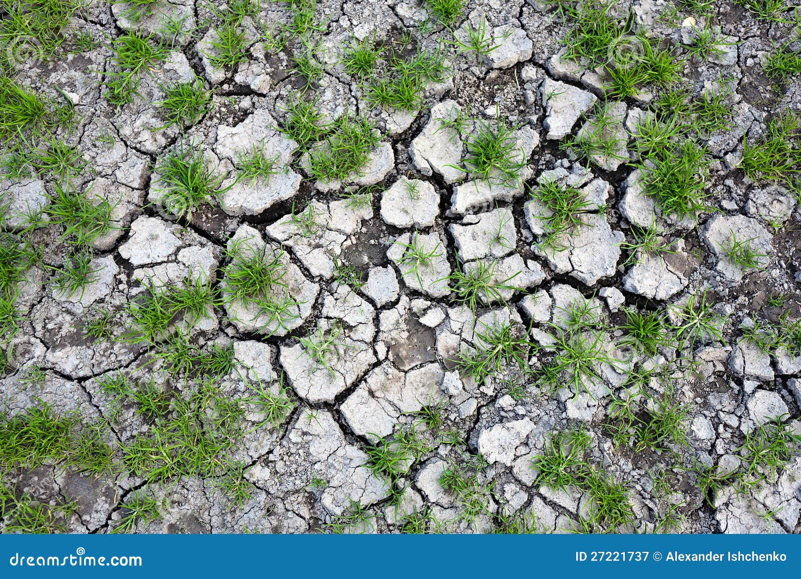 Dry Land. stock image. Image of environment, outside - 27221737