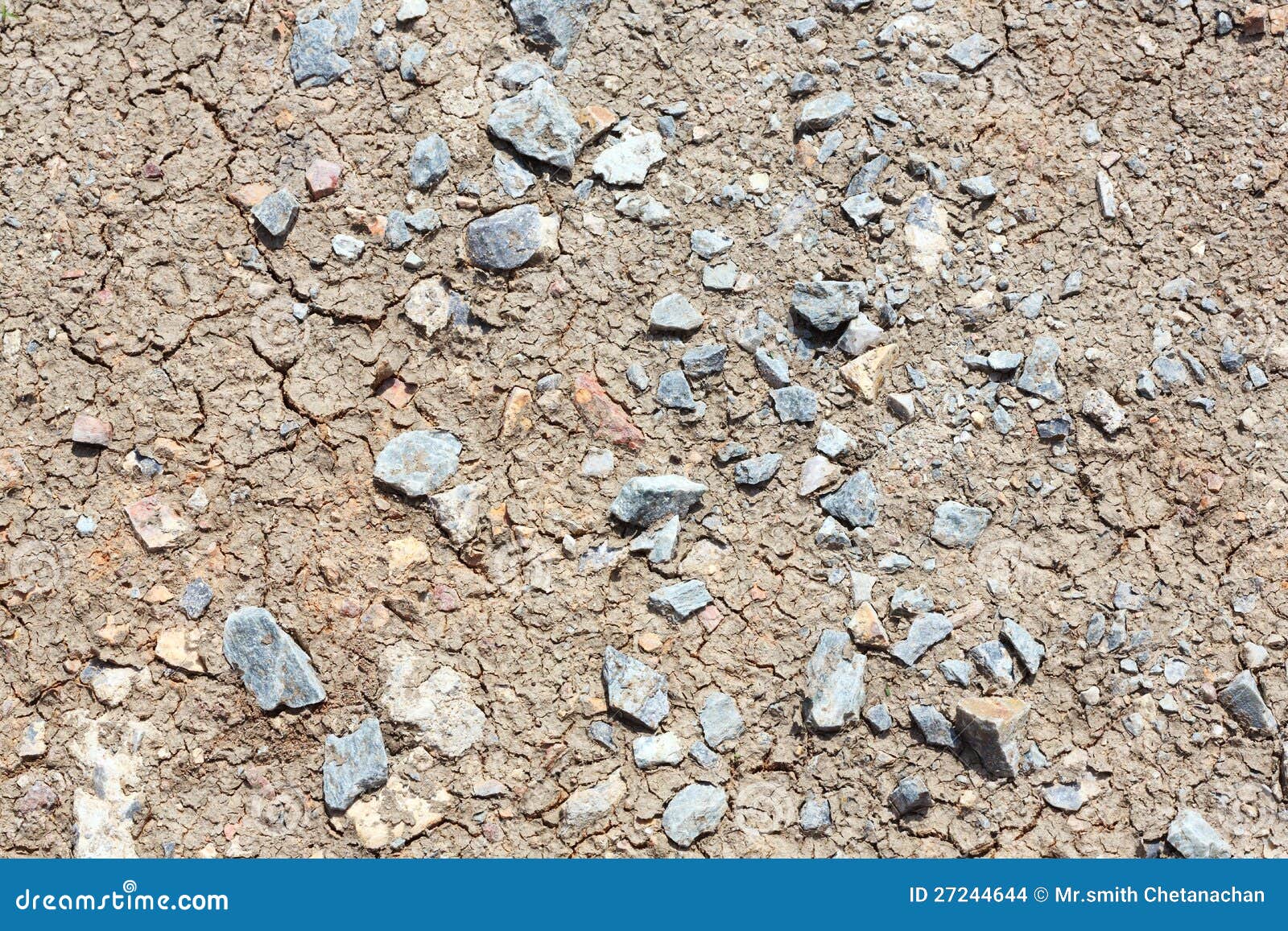 Dry land stock photo. Image of life, growing, green, disaster - 27244644