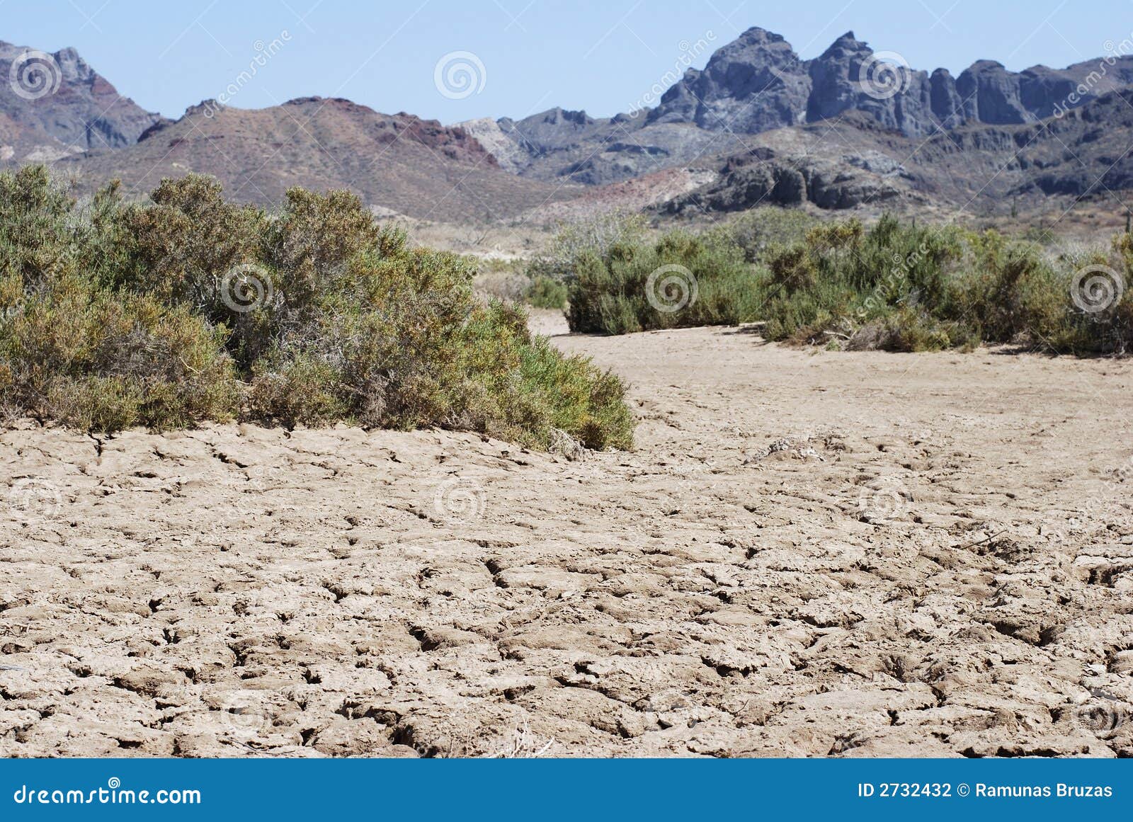 The Dry Land stock photo. Image of dead, land, sunny, landscape - 2732432
