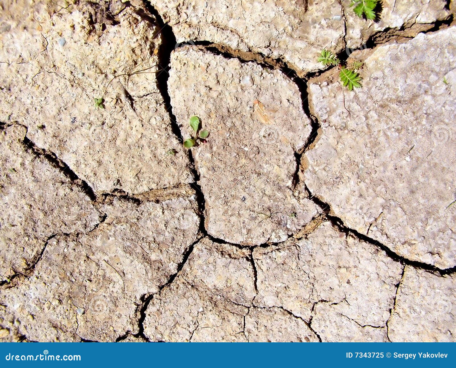 Dry land stock image. Image of climate, natural, agriculture - 7343725