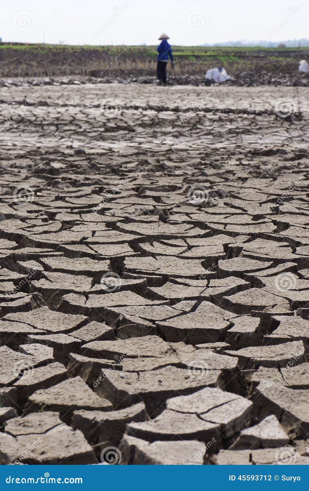 Dry land editorial photography. Image of java, central - 45593712