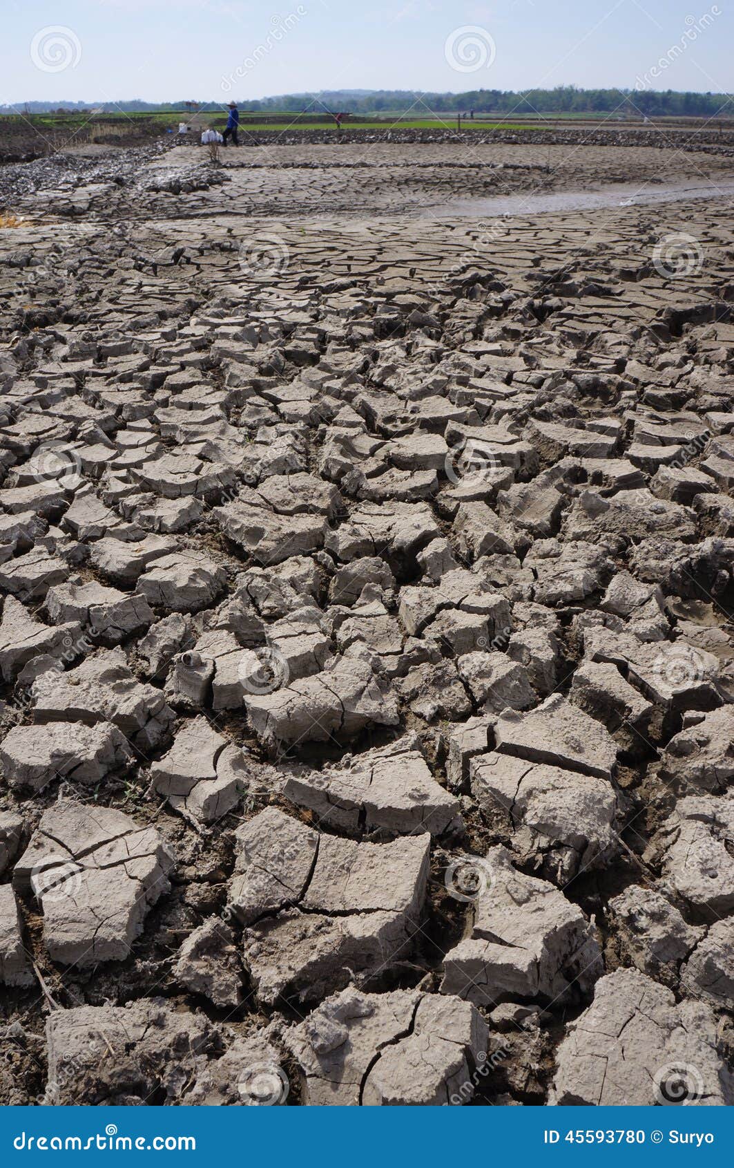Dry land editorial image. Image of geology, soil, citizens - 45593780
