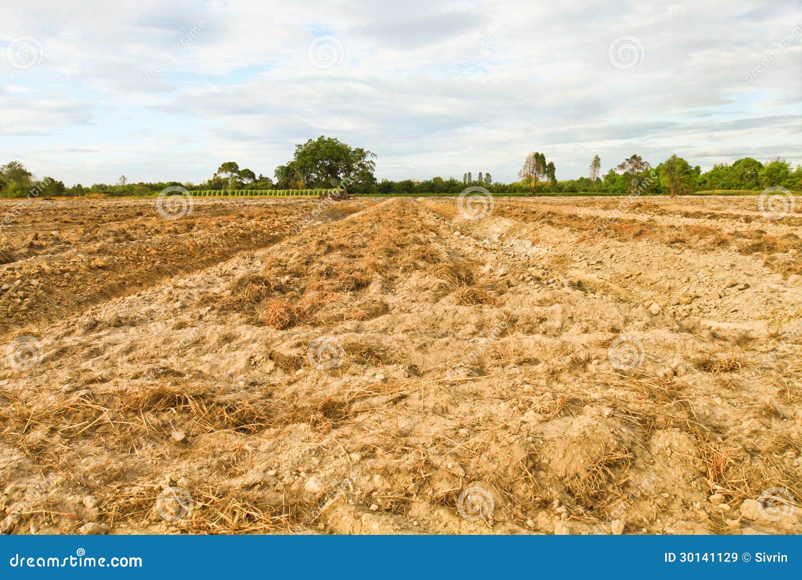 Land for farm stock image. Image of husband, area, farm - 30141129