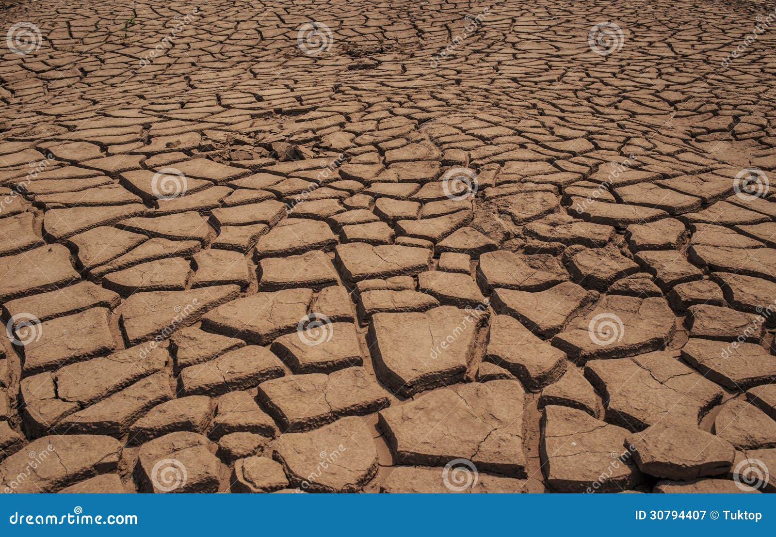 Dry Land with Cracked stock image. Image of broken, dust - 30794407