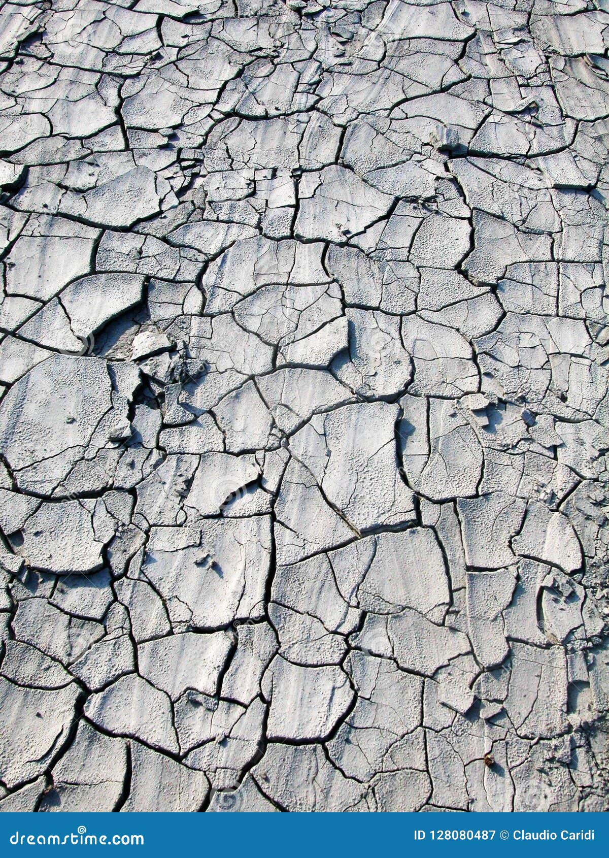 Dry Land With Cracks Royalty-Free Stock Photography | CartoonDealer.com ...