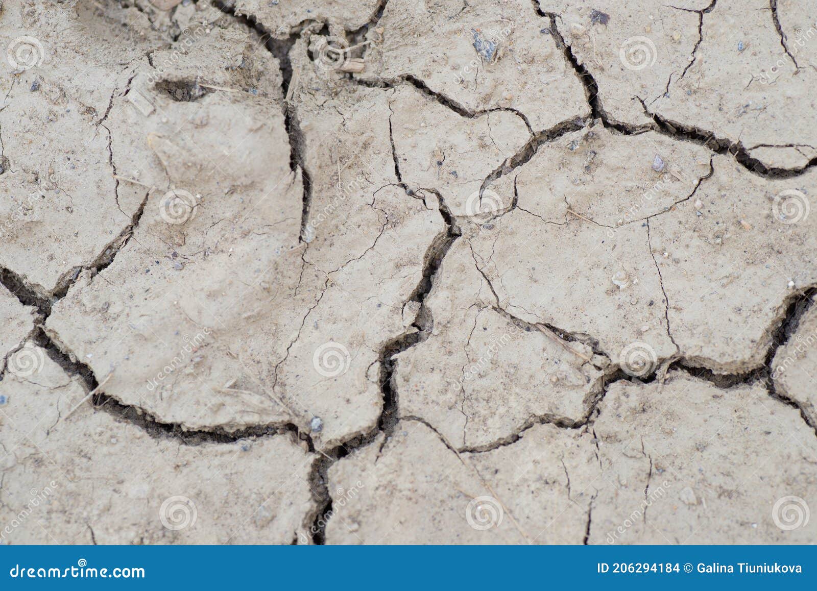 Dry Land. Cracks in the Ground Stock Photo - Image of ground, dirt ...