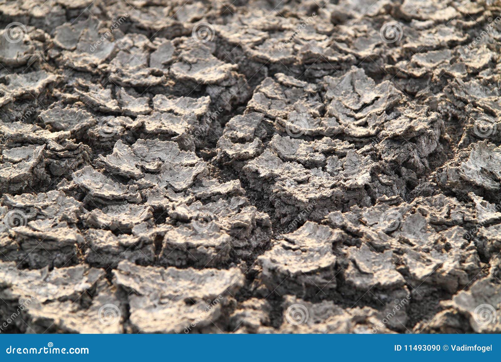 Dry land in the desert. stock photo. Image of nature - 11493090