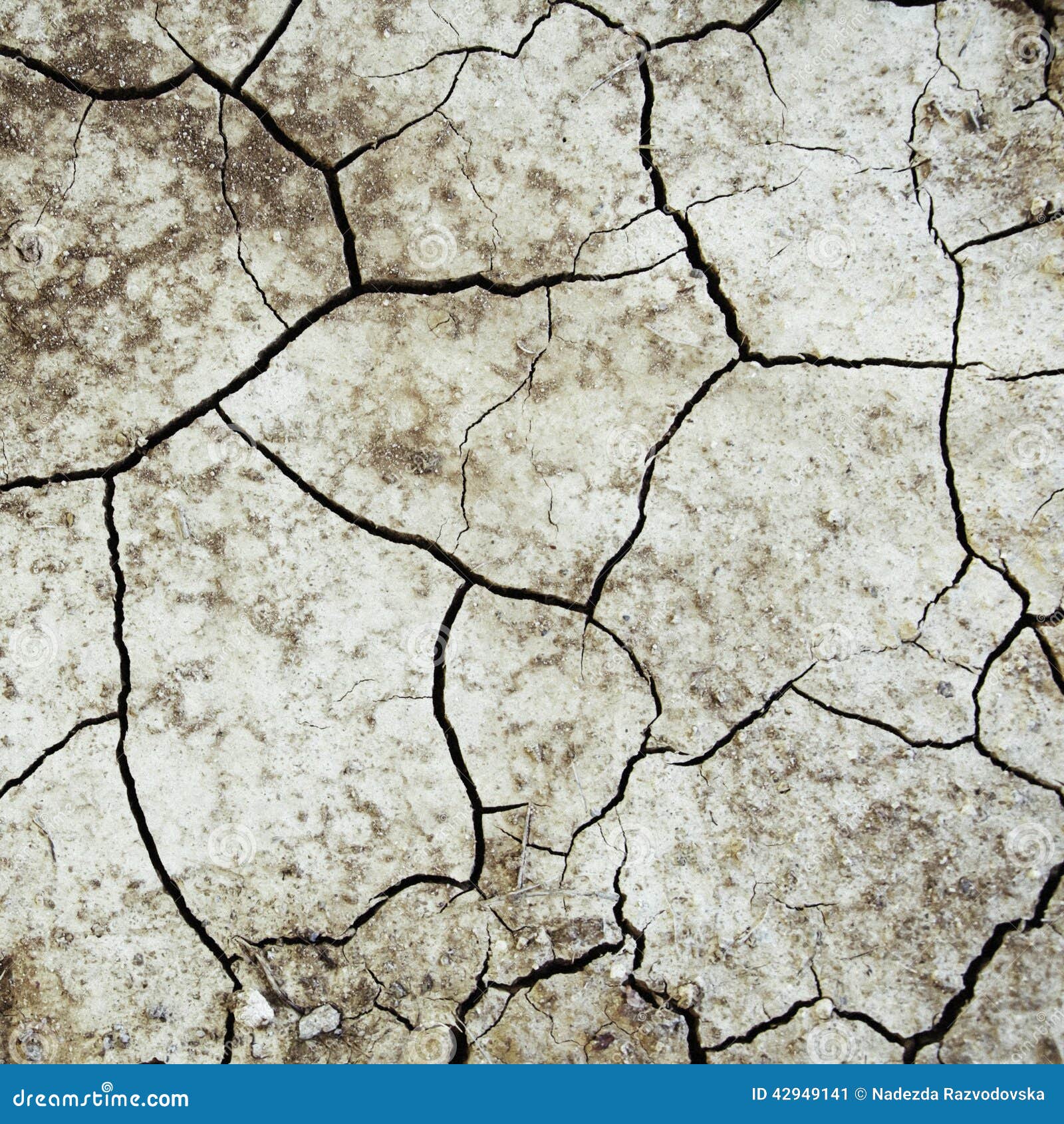 Dry Land stock image. Image of crack, land, drought, desert - 42949141