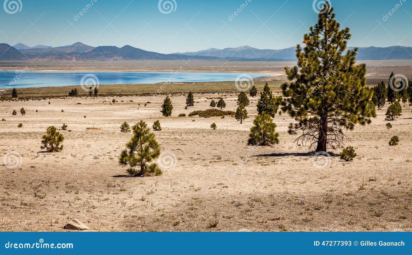 Dry Land with Lake in Background Stock Image - Image of lansdcape ...