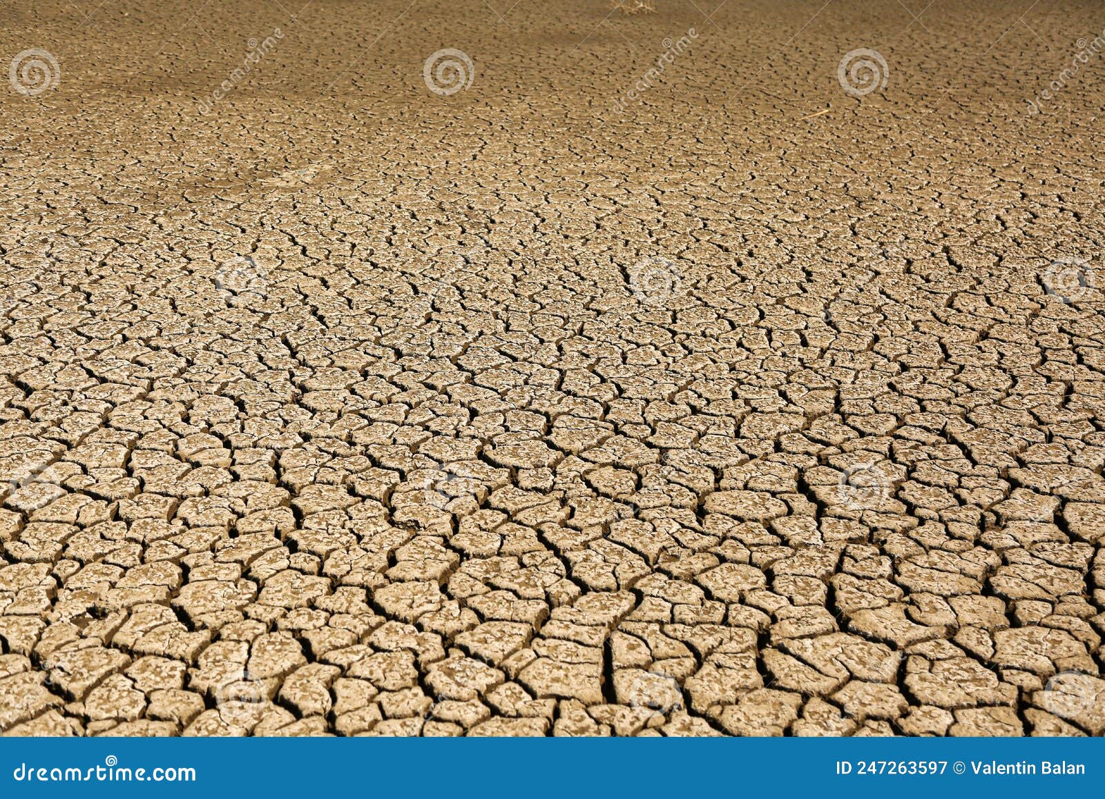 Dry land with many cracks stock image. Image of ecology - 247263597