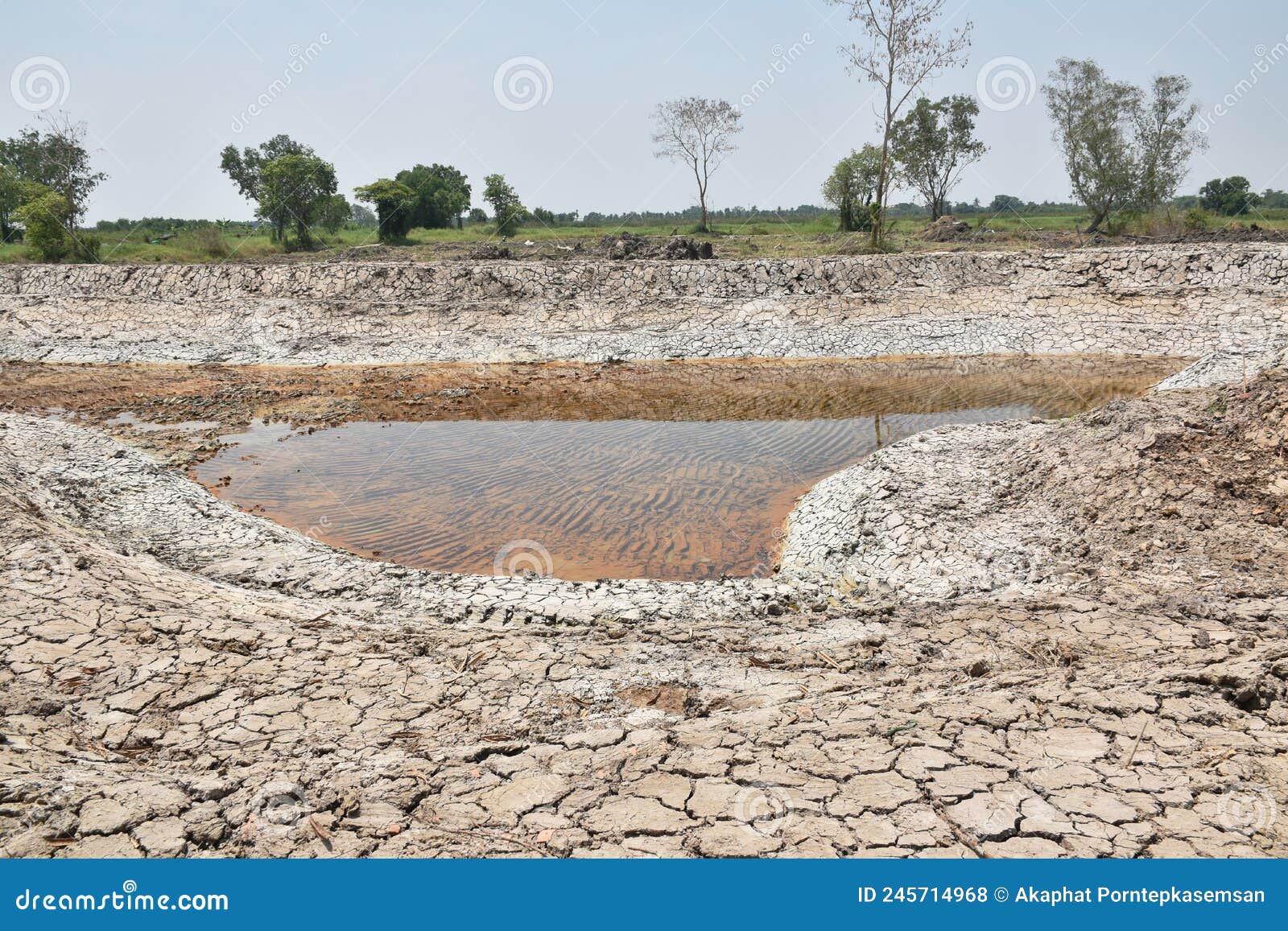 Dry Land on Paddy Filled and Pool with less Water in Summer Stock Photo ...