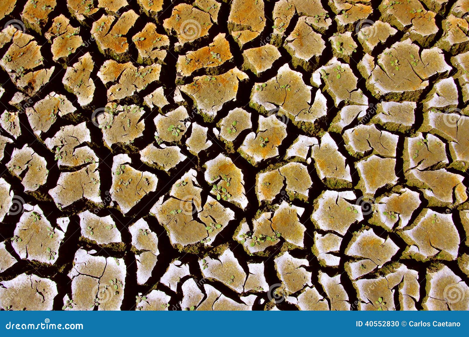 Dry Land Pattern stock photo. Image of background, desert - 40552830