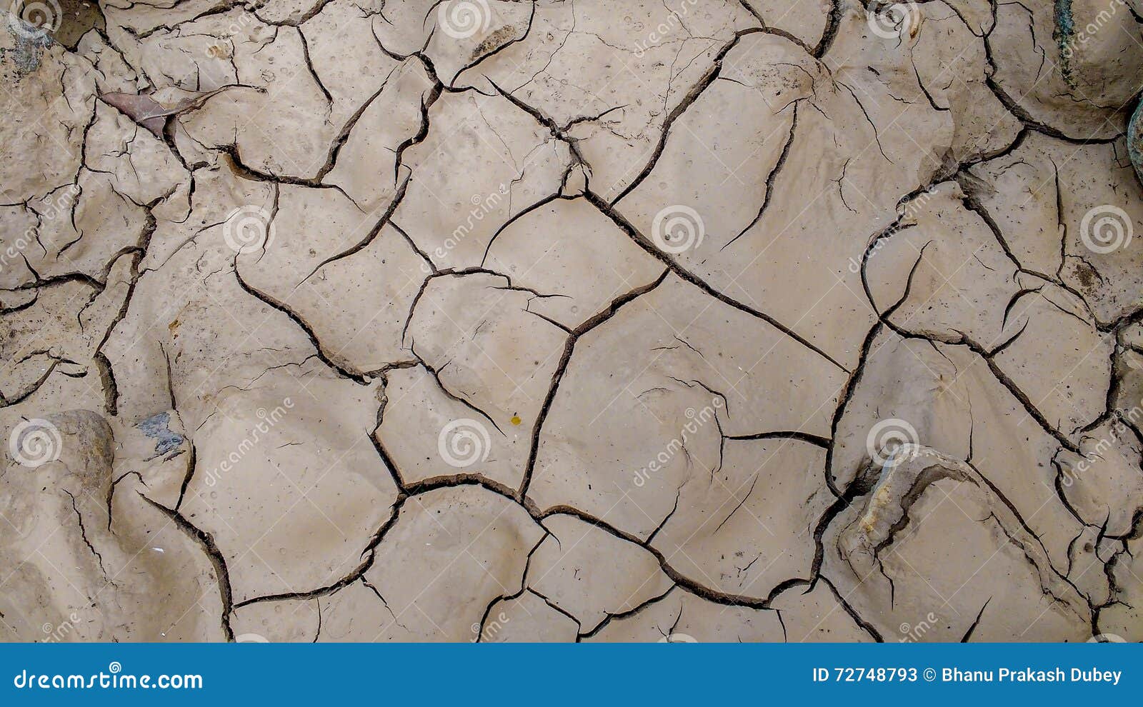 Dry Land stock image. Image of earth, portion, crisis - 72748793