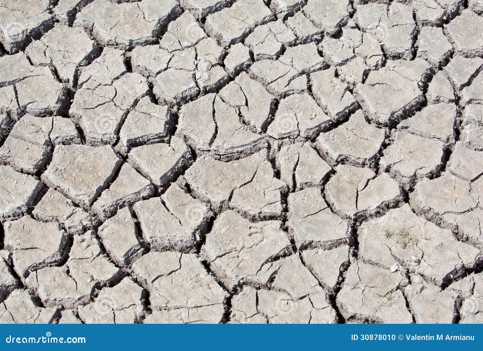 Dry land stock photo. Image of grunge, split, soil, nature - 30878010