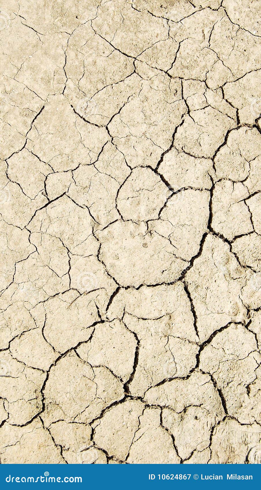 Dry Land Texture