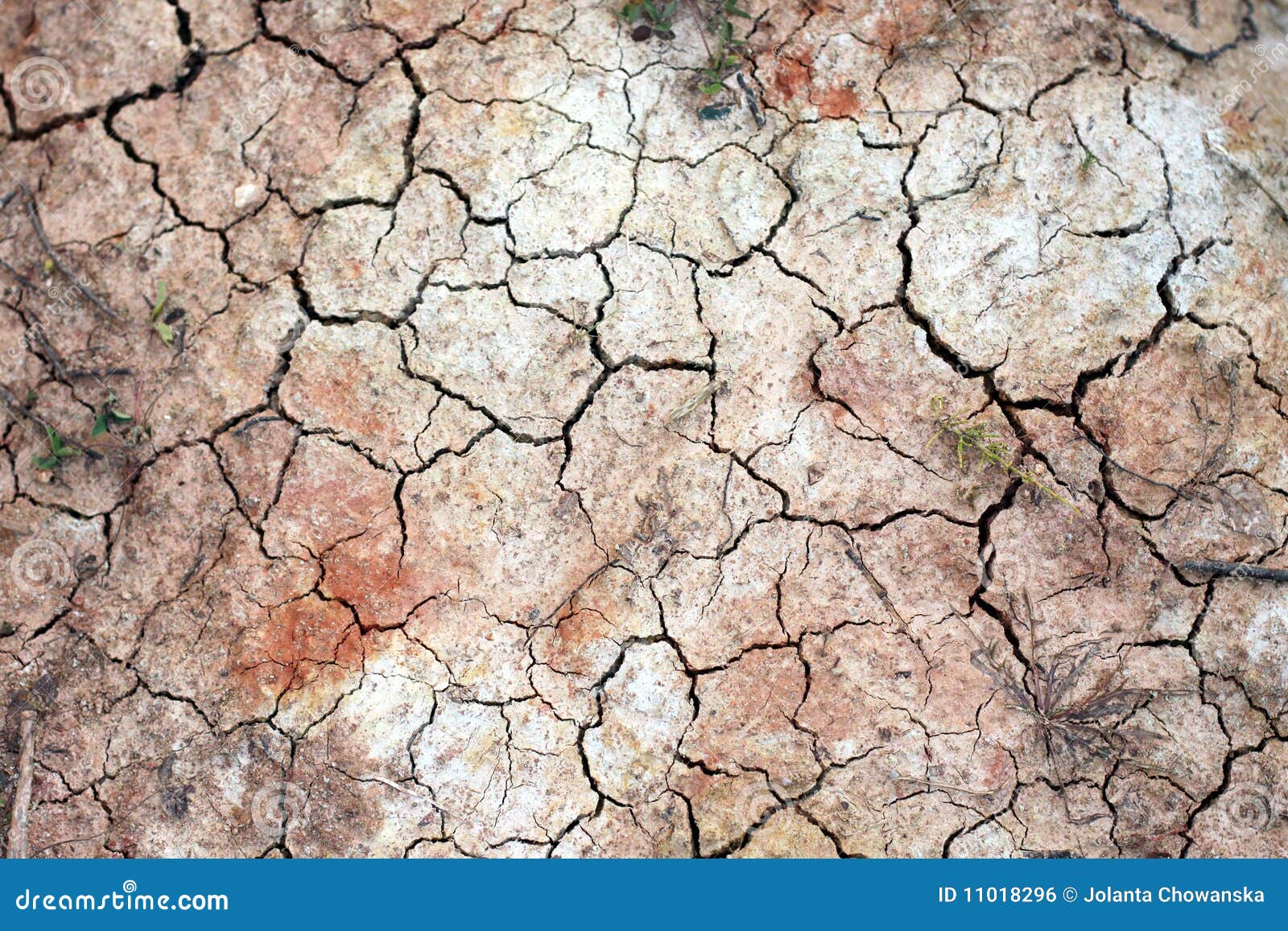 Dry land texture stock photo. Image of drought, desert - 11018296