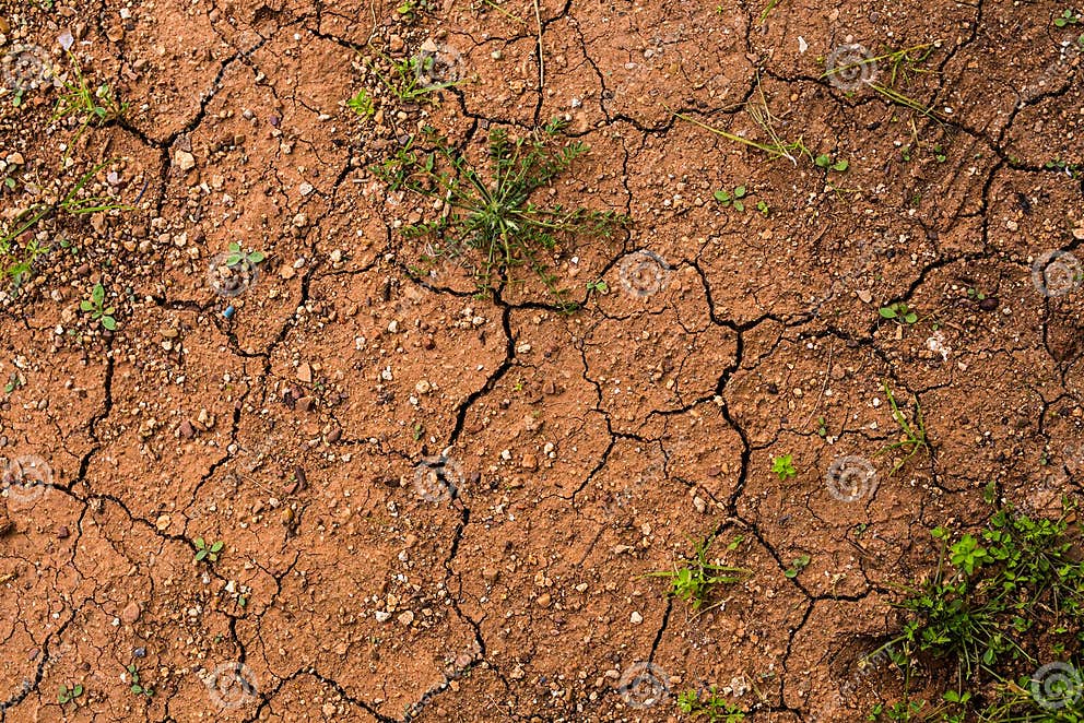 Dry Land Texture, Background Image. Stock Image - Image of drought ...