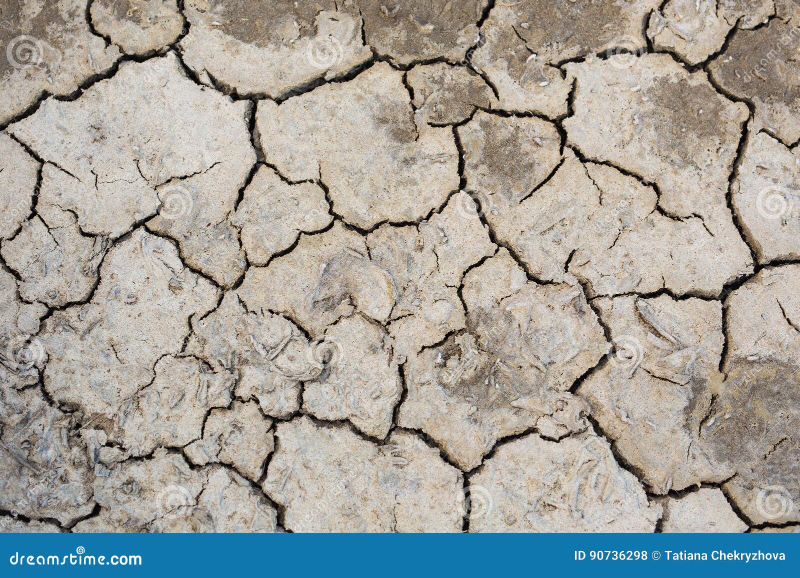 Dry Land Texture, Background Image. Stock Photo - Image of ...