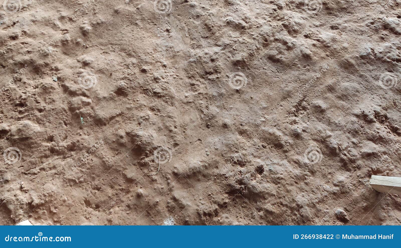 Dry Land Texture Soil Dust Conture Surface in Dry Season Stock Photo ...