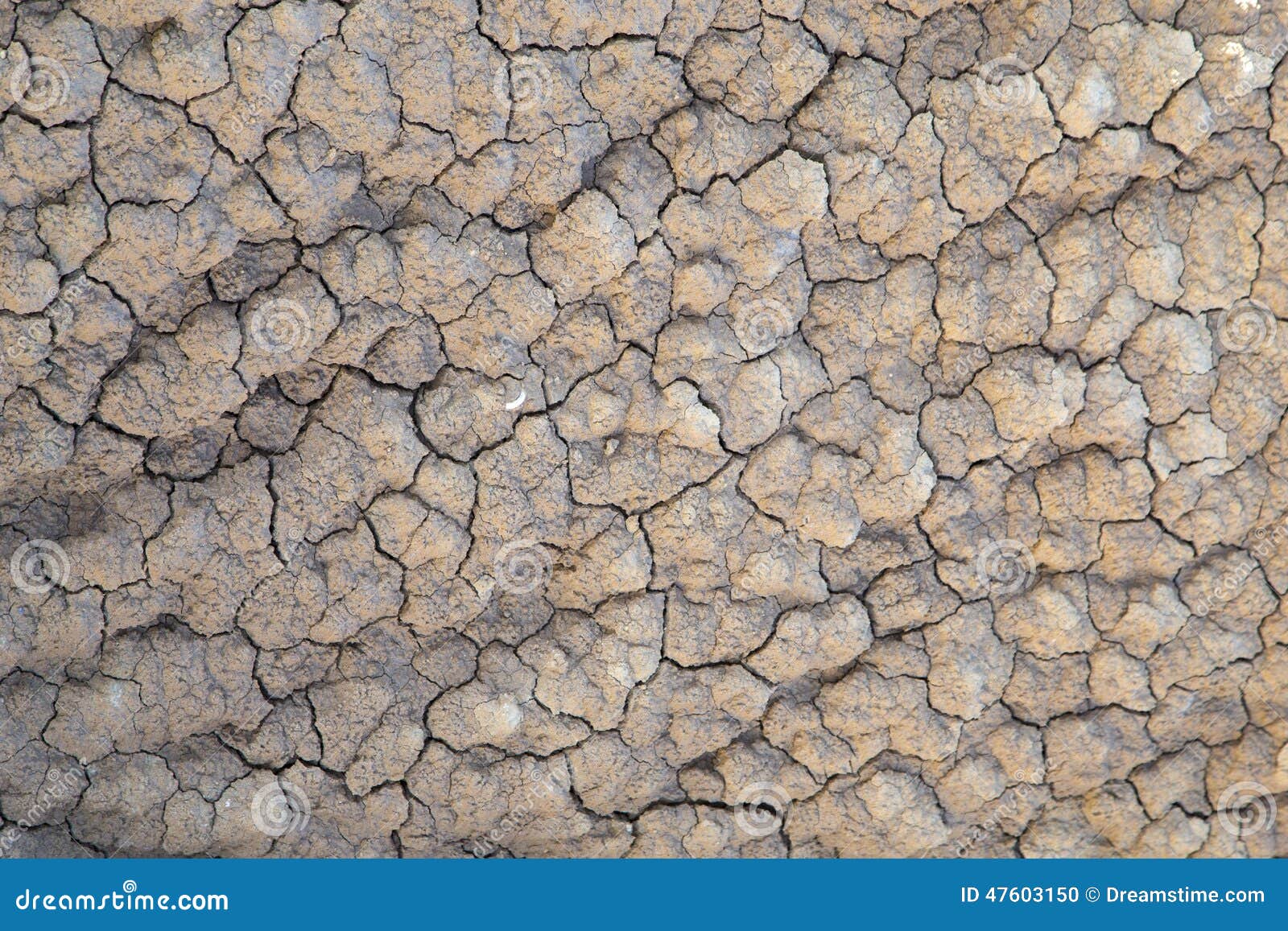 Dry land stock photo. Image of earth, crank, relief, textures - 47603150