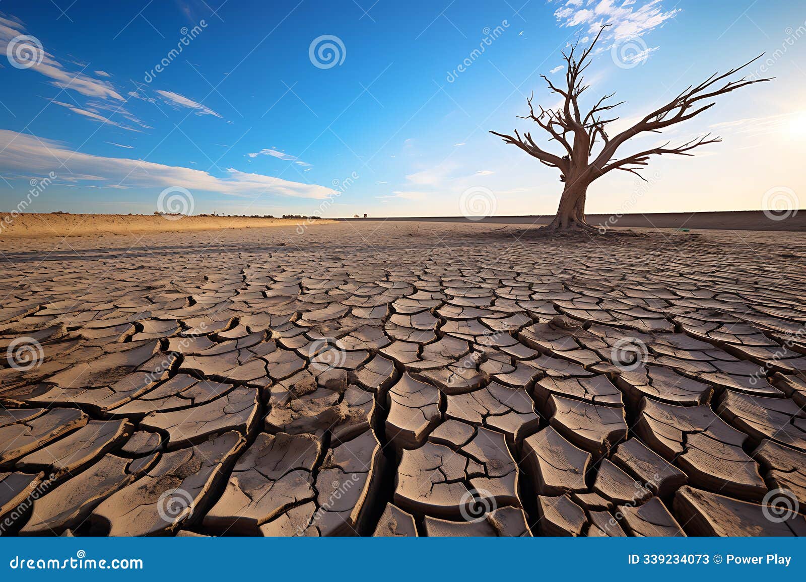 Dry Land with Dry Tree at Sunset. Global Warming Concept Stock ...