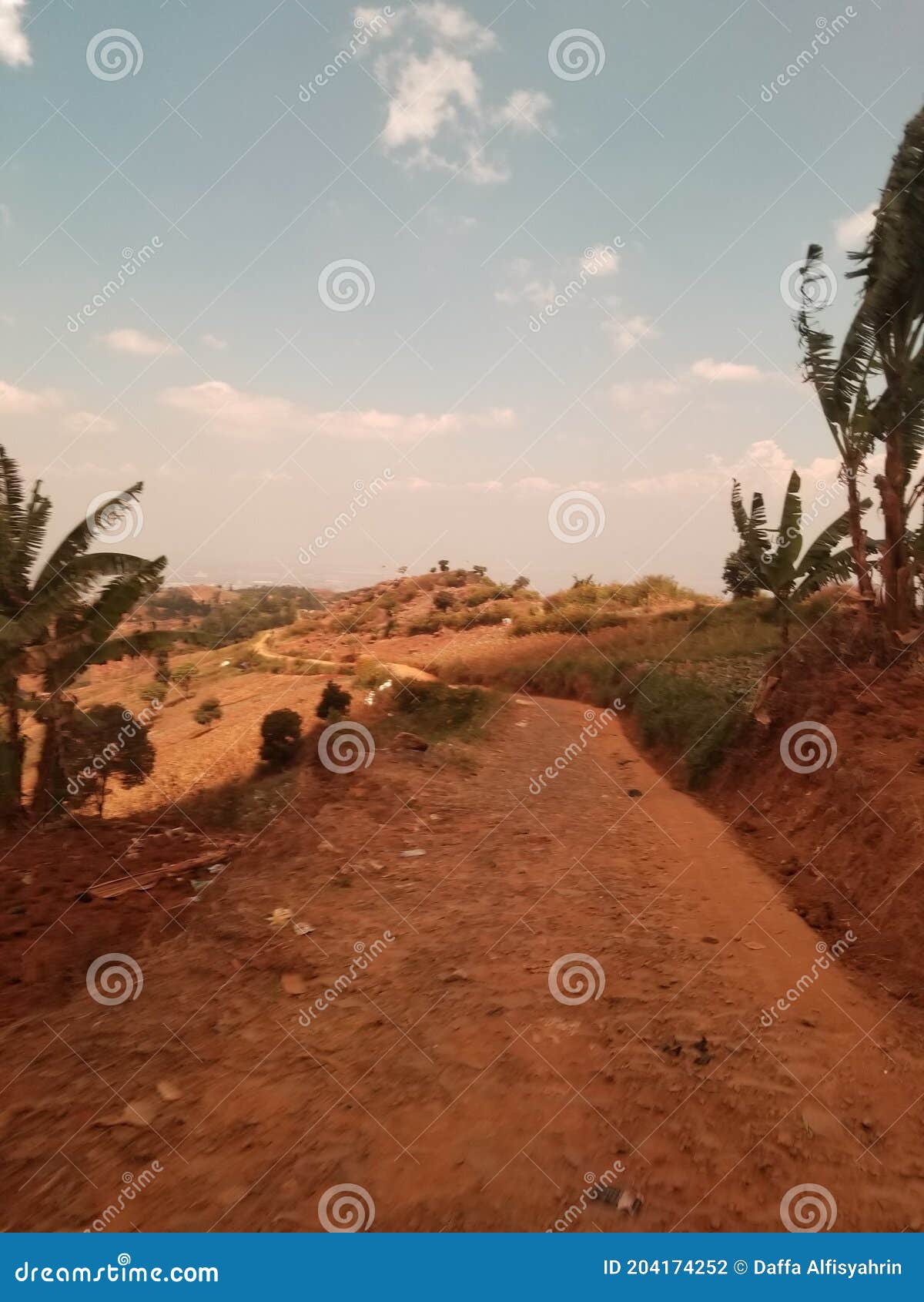 Dry land with trees on it stock photo. Image of geology - 204174252
