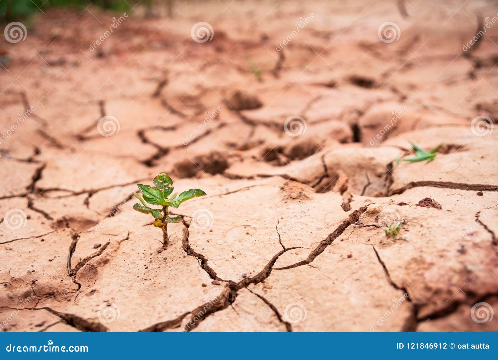 Soil - Cracked Dry Land Without Water- Textures Royalty-Free Stock ...