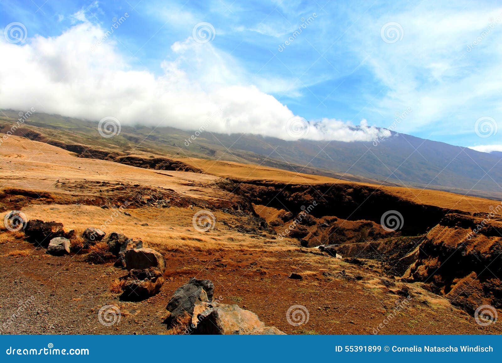 Dry lands on Maui stock image. Image of island, hills - 55391899